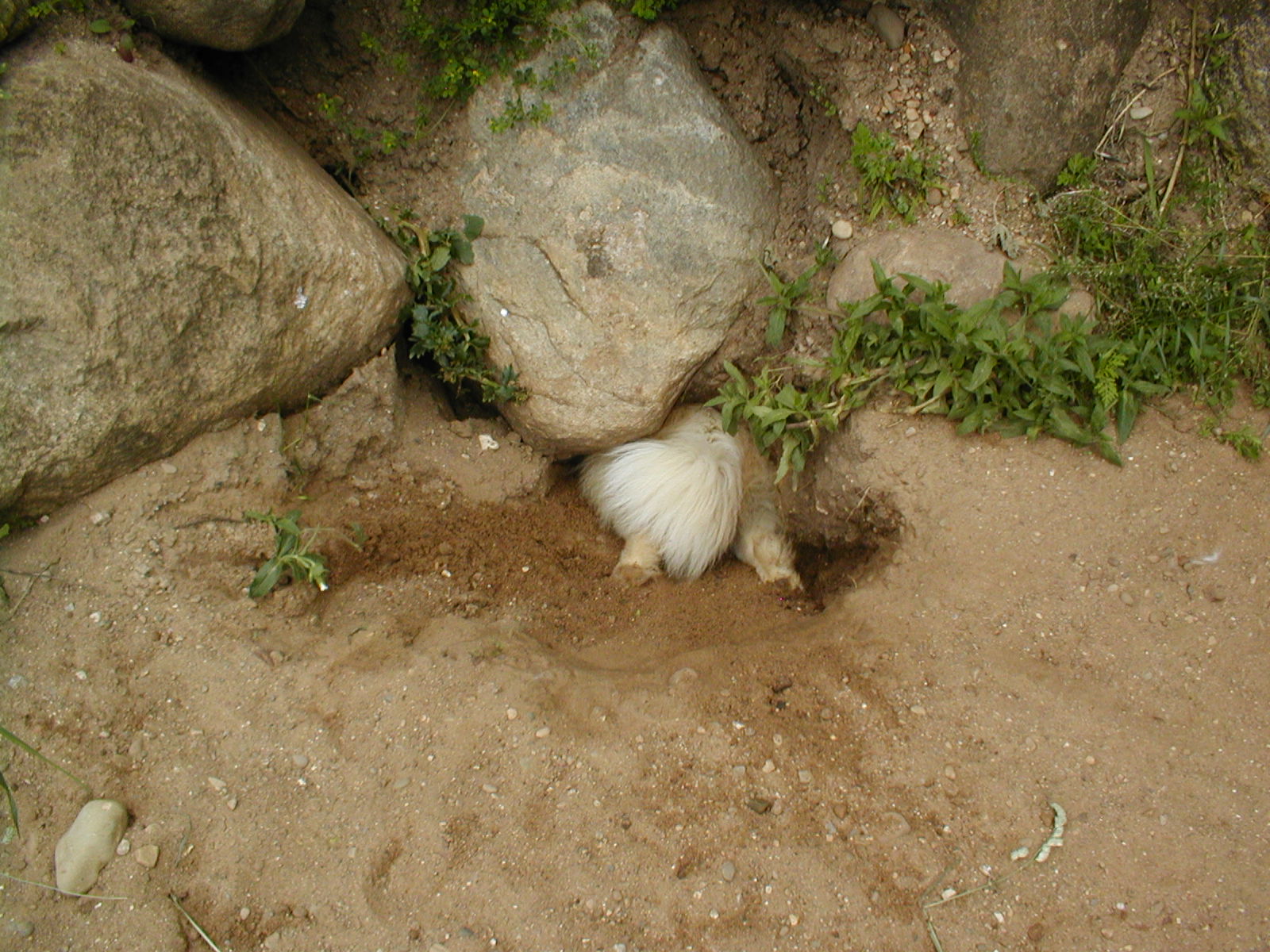 CURIOSITY